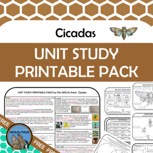 Cicadas Unit Study Printable Pack - The WOLFe Pack